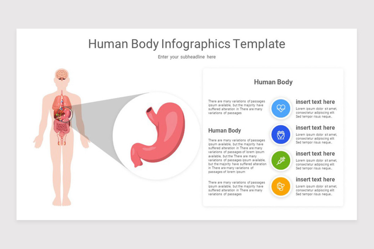 Human Body Infographics PowerPoint Template | Nulivo Market