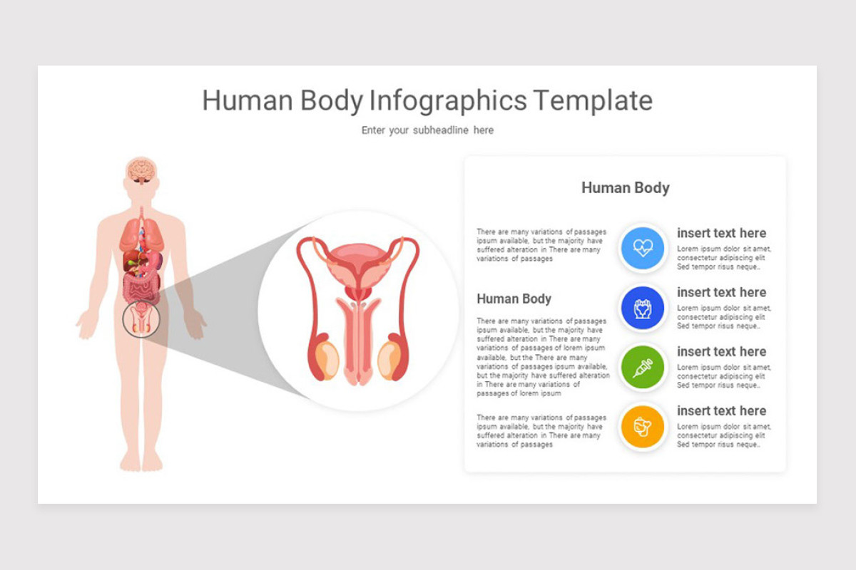 Human Body Anatomy Ppt