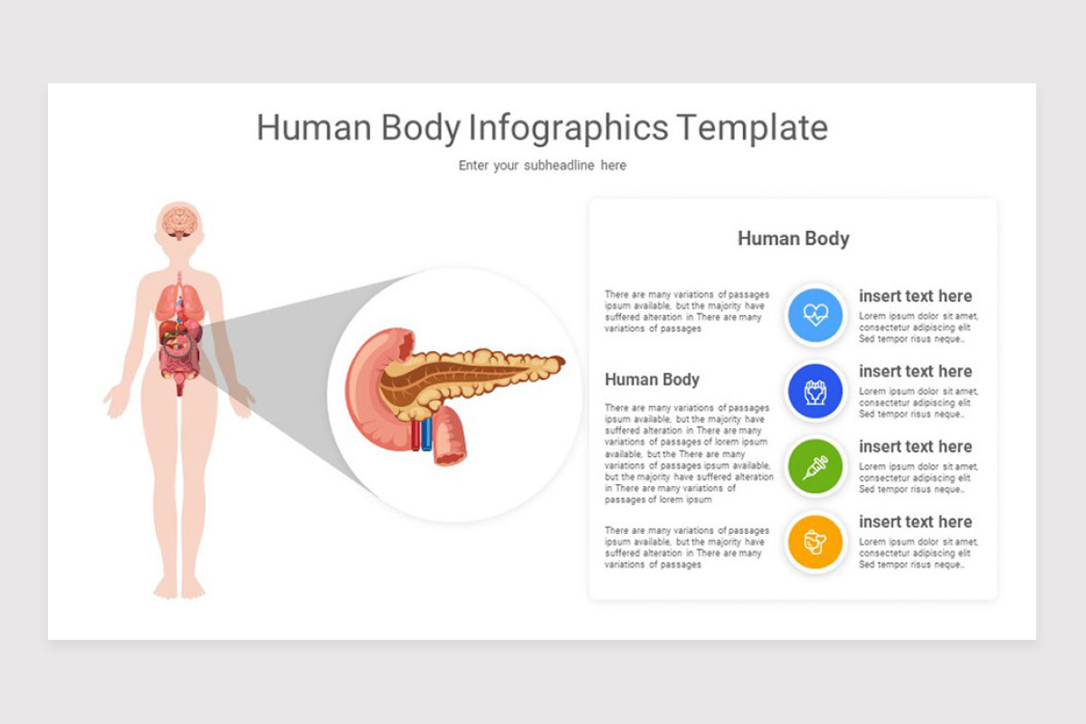 Human Body Infographics PowerPoint Template | Nulivo Market