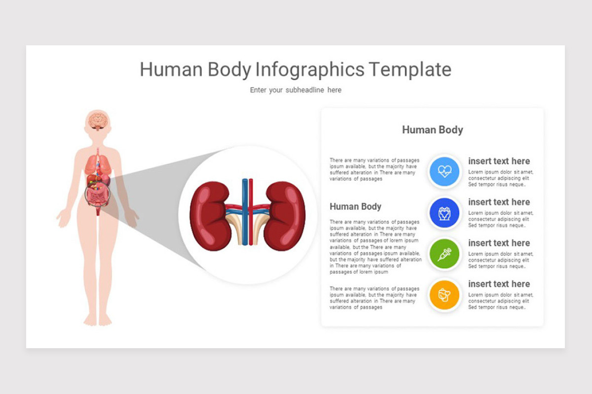 Human Body Infographics PowerPoint Template | Nulivo Market