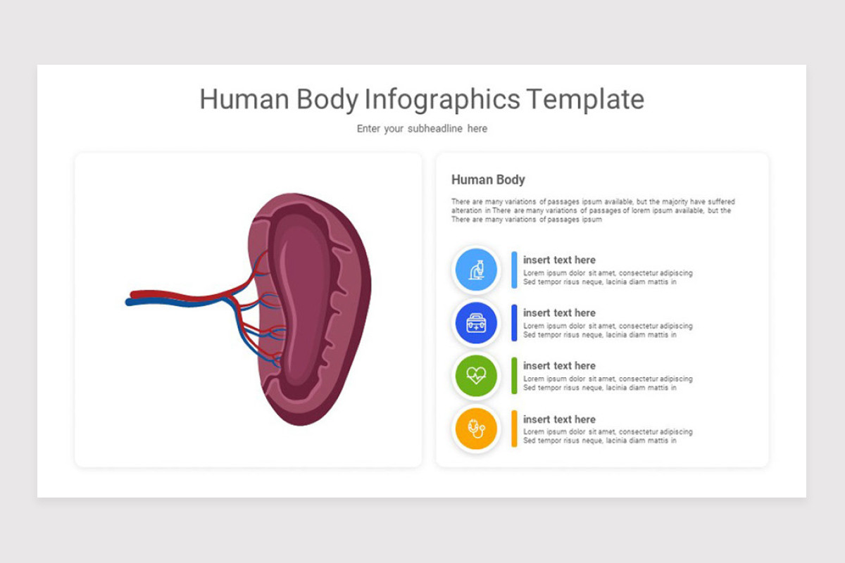 Human Body Infographics PowerPoint Template | Nulivo Market