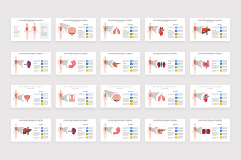 Human Body Infographics PowerPoint Template | Nulivo Market