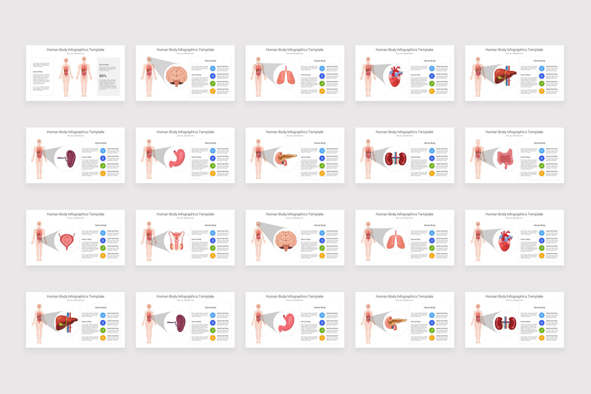 Human Body Infographics Keynote Template | Nulivo Market
