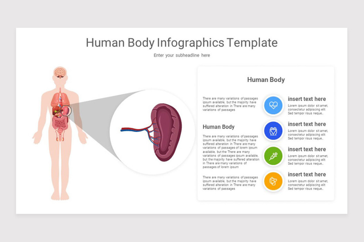 Human Body Infographics Keynote Template | Nulivo Market