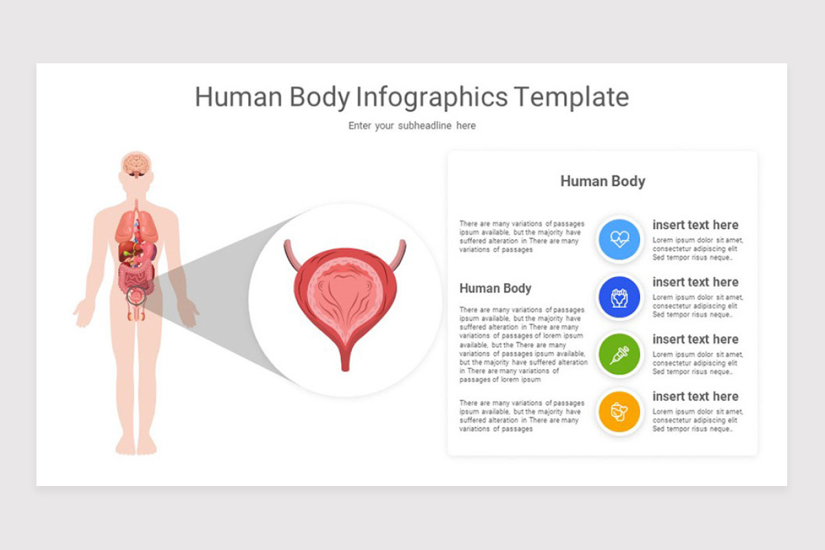 Human Body Infographics Keynote Template | Nulivo Market