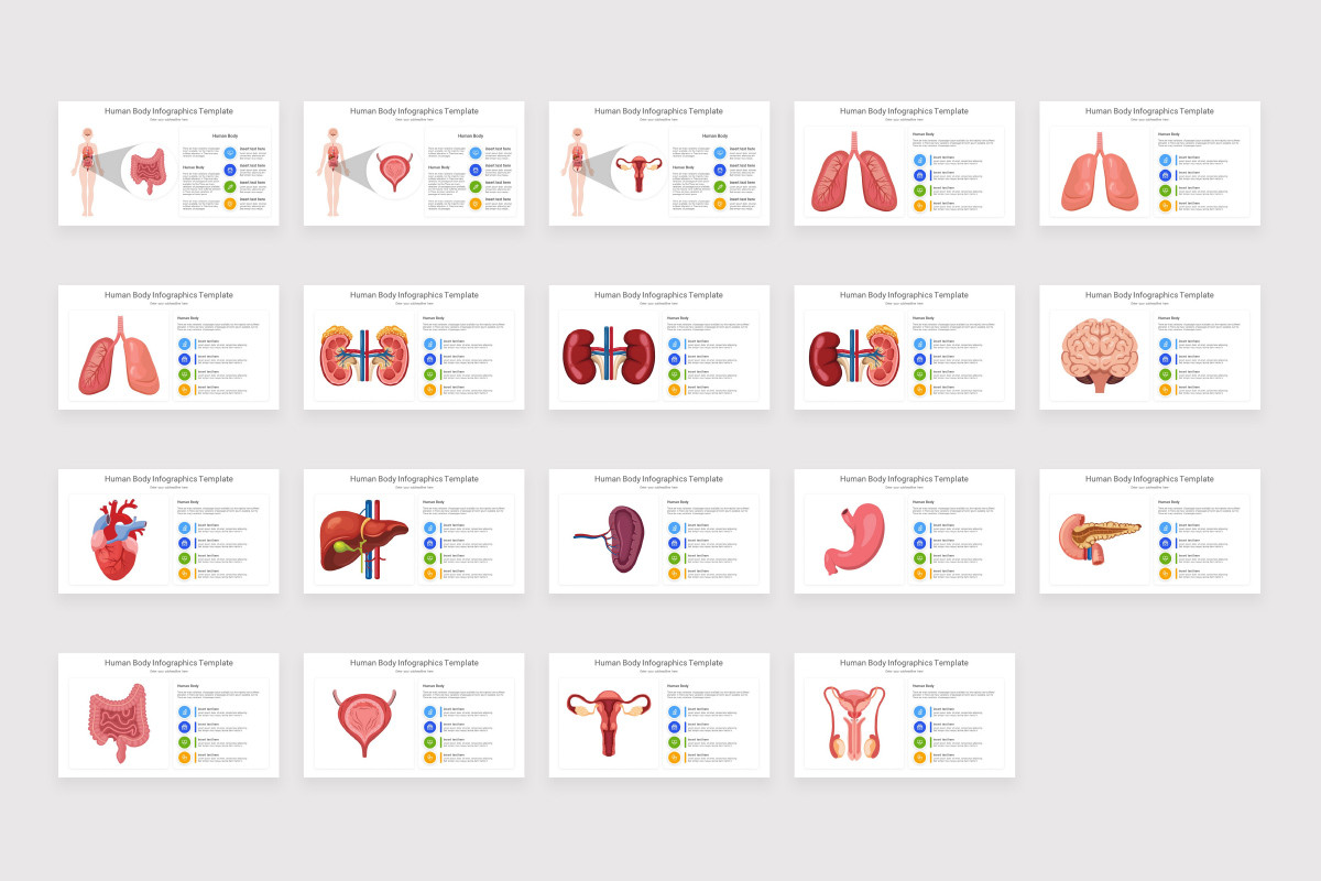 Human Body Infographics Google Slide Template | Nulivo Market
