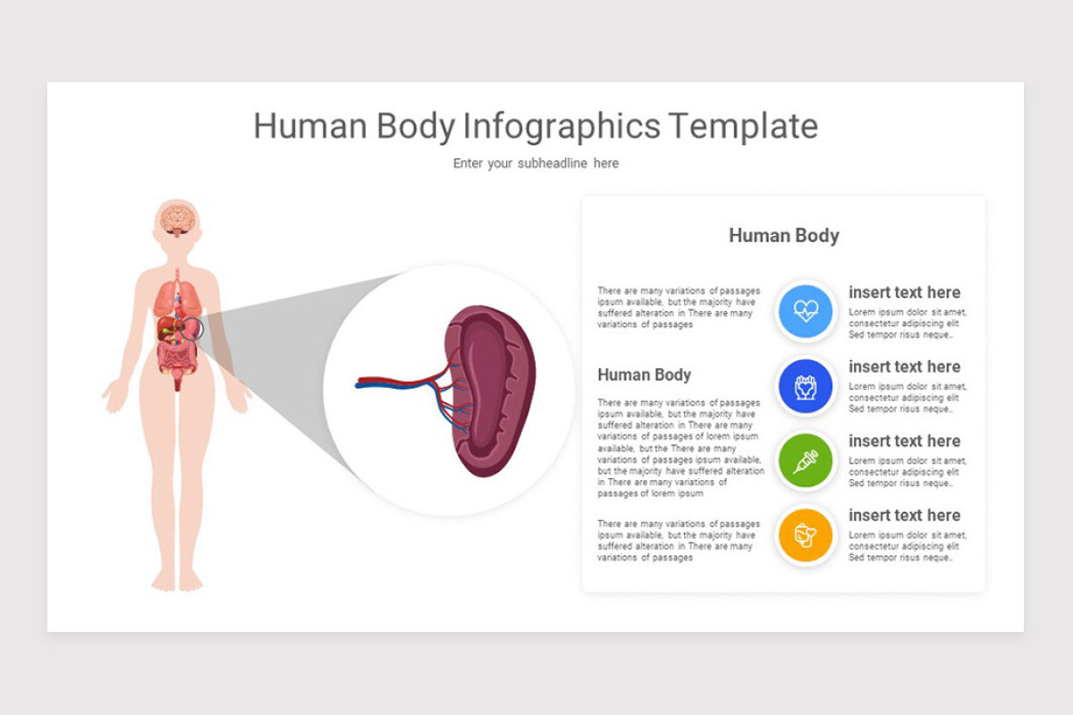 Human Body Infographics Google Slide Template | Nulivo Market