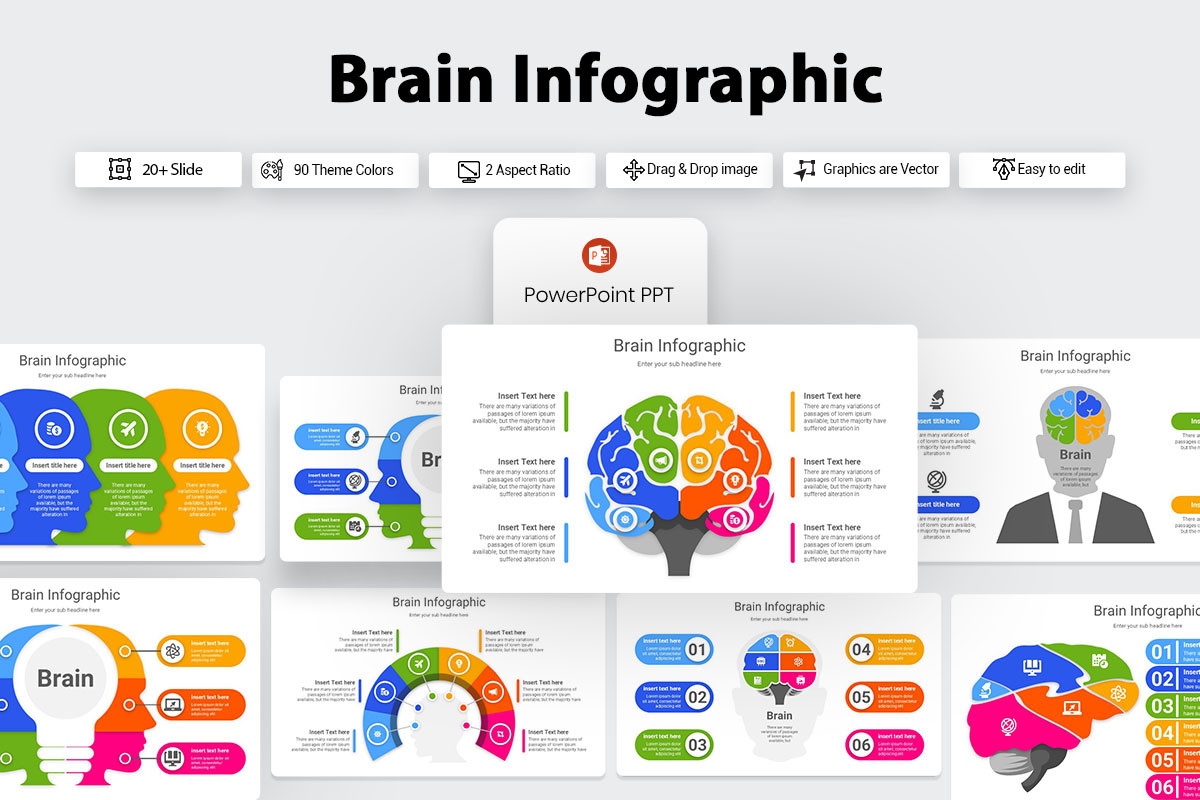 Infographic Anatomy Of The Brain Infographics