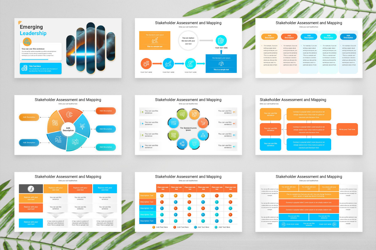 Stakeholder Assessment and Mapping Google Slides Template | Nulivo Market