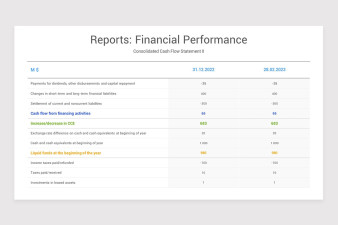 Financial Performance Reports PowerPoint Template | Nulivo Market