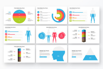 Data Charts PowerPoint Presentation Template | Nulivo Market