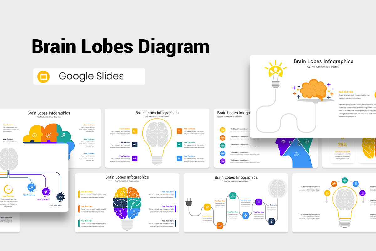 Brain Lobes Google Slides Template | Nulivo Market