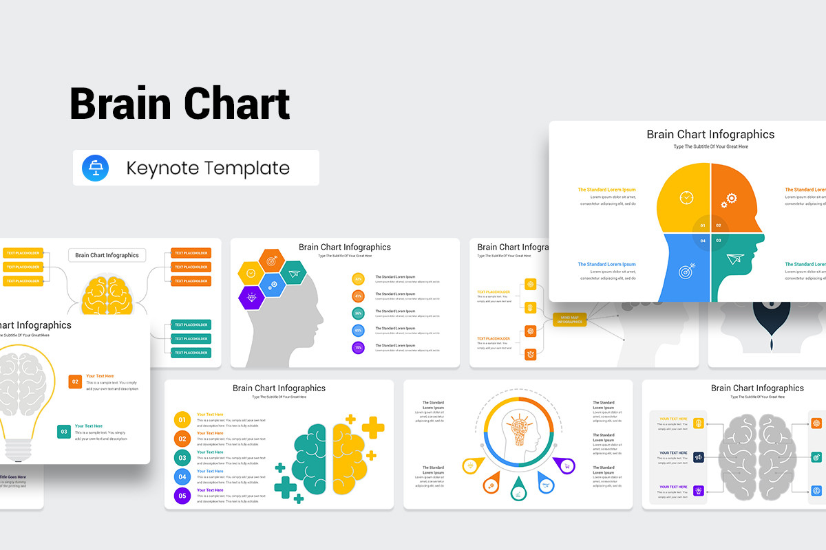 Brain Chart Keynote Template | Nulivo Market