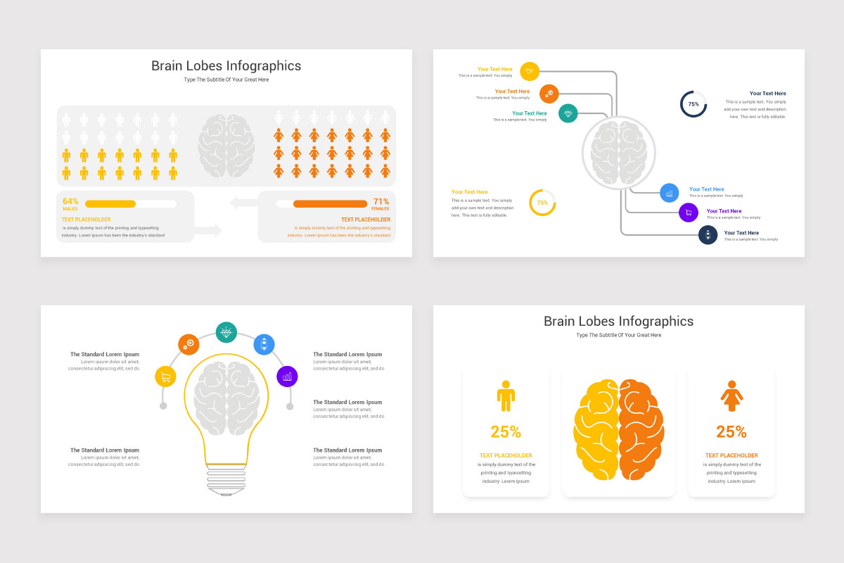 Brain Lobes Keynote Template | Nulivo Market