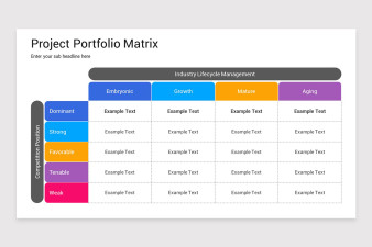 Project Portfolio Matrix PowerPoint Template | Nulivo Market