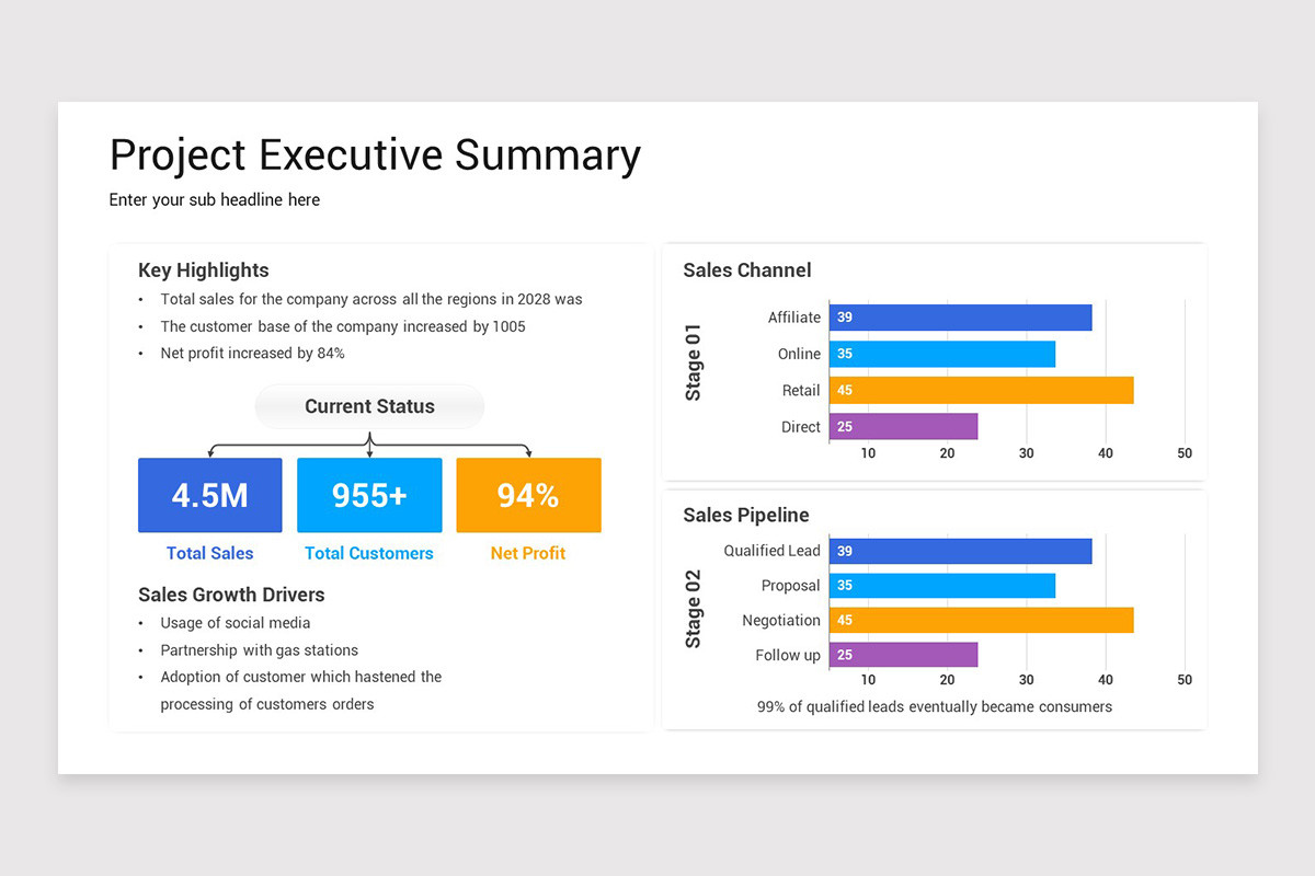Project Executive Summary PowerPoint Template | Nulivo Market
