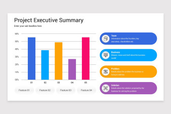 Project Executive Summary PowerPoint Template | Nulivo Market