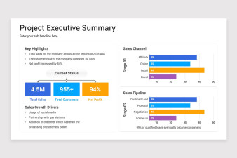 Project Executive Summary PowerPoint Template | Nulivo Market