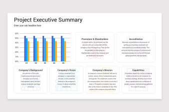 Project Executive Summary PowerPoint Template | Nulivo Market