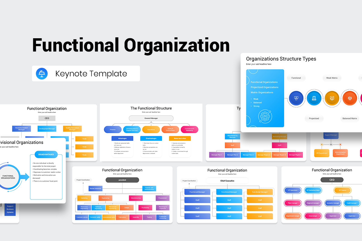 Functional Organization Keynote Template | Nulivo Market