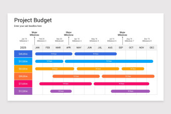 Project Budget Google Slides Template | Nulivo Market