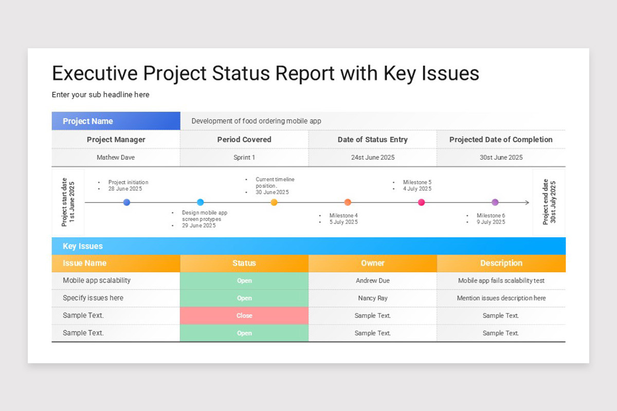 Executive Project Status Report Google Slides Template | Nulivo Market