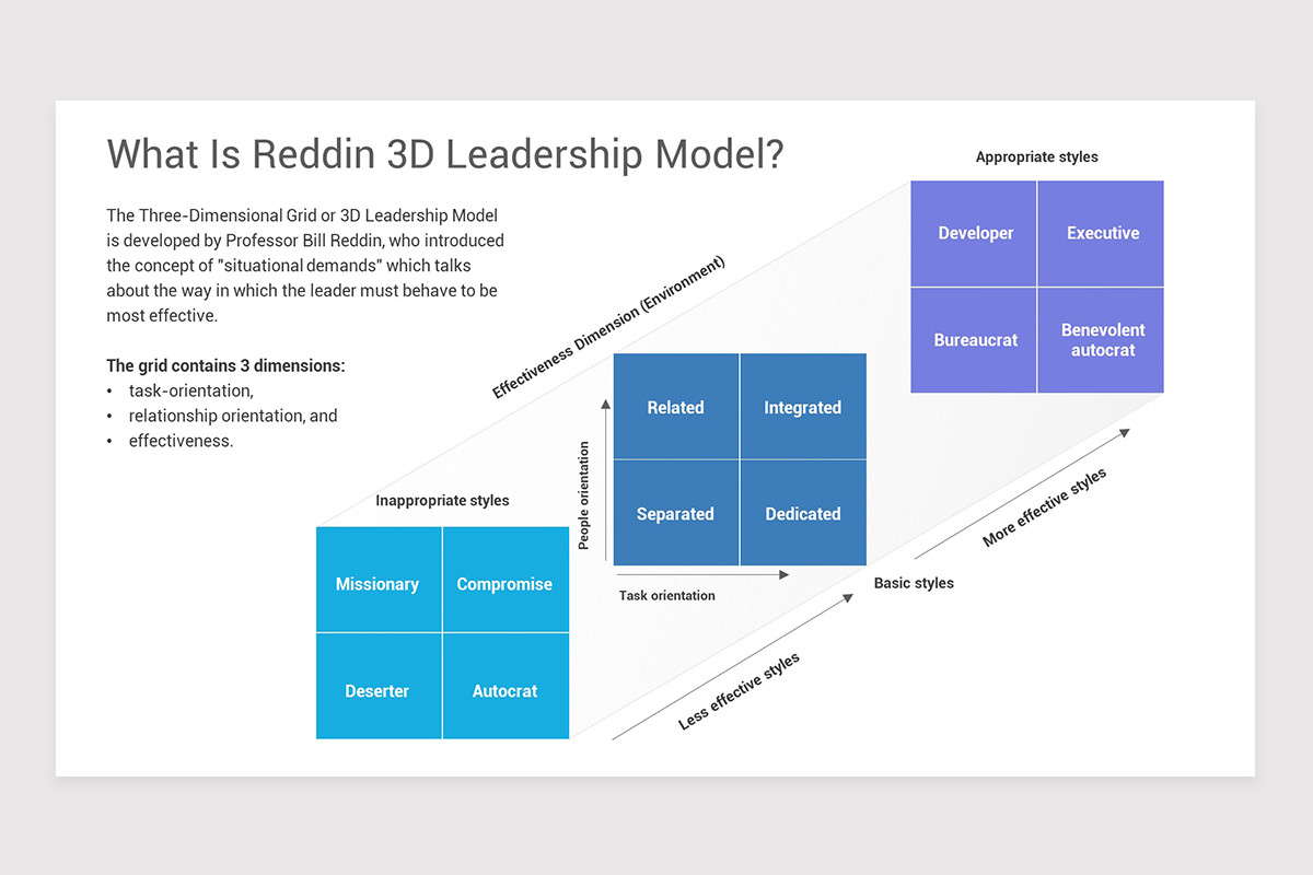 Reddin 3D Leadership Model Google Slides Template | Nulivo Market